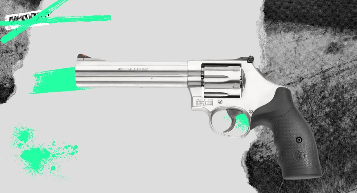 Revólver .357 é permitido? - Netica